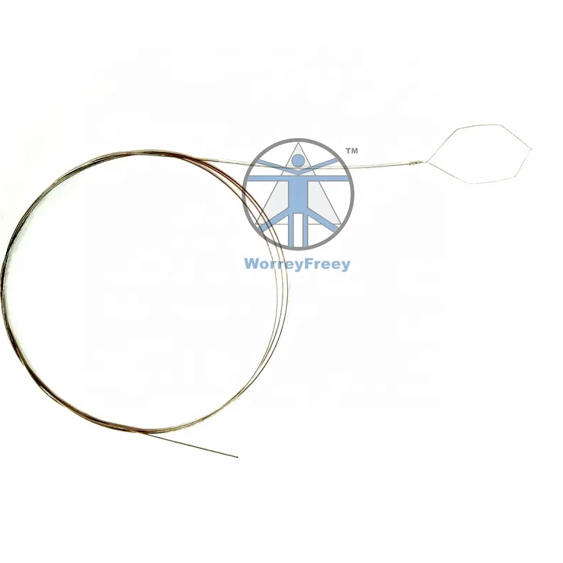 Disposable Instrument Polypectomy Snare - Endoscopic Snare