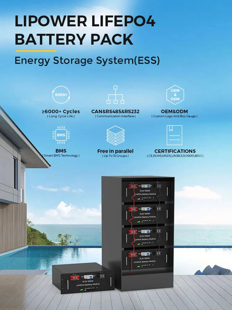 LIPOWER Lithium Iron Phosphate Battery - 51.2V 100ah