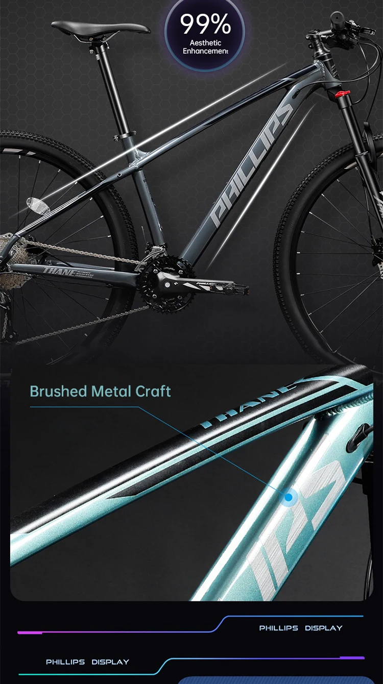 2023 Phillips Hot Sale Runner Bike 26/29 Inch 30/33 Speed Aluminum ...