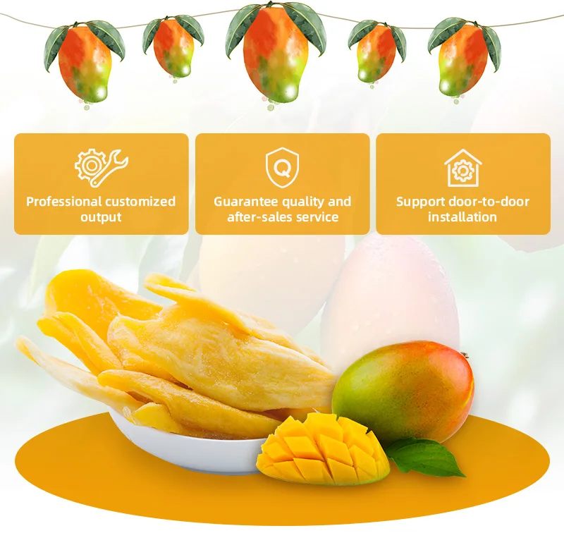 Commercial Automatic Washing Dried Mango Slice Packing Processing Mangoes Fruit Drying Machine ...