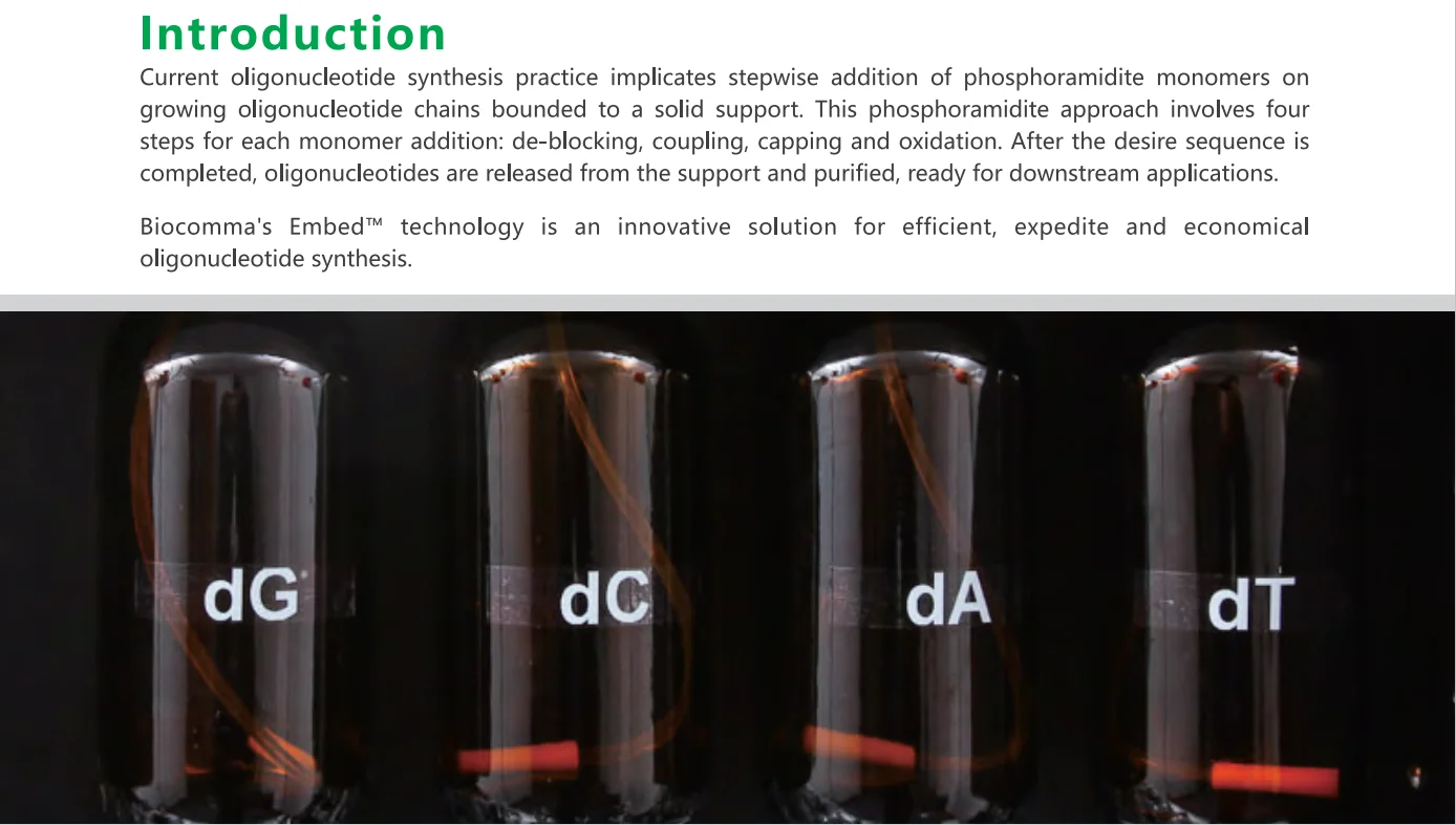 PCR Primers Synthesis Columns - Oligo Probes Support