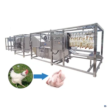 Large Capacity Scale Chicken Broiler Duck Meat Poultry Machine ...