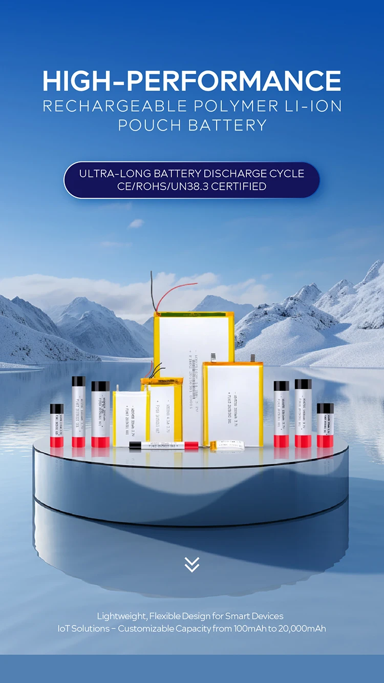 WES Customizable UN38.8 Rohs Certified Electronics 655478 LiCoO2 Pouch ...