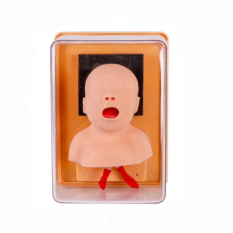 Advanced Neonatal Tracheal Intubation Model Endotracheal Intubation ... Advanced Neonatal Tracheal Intubation Model Endotracheal Intubation ...