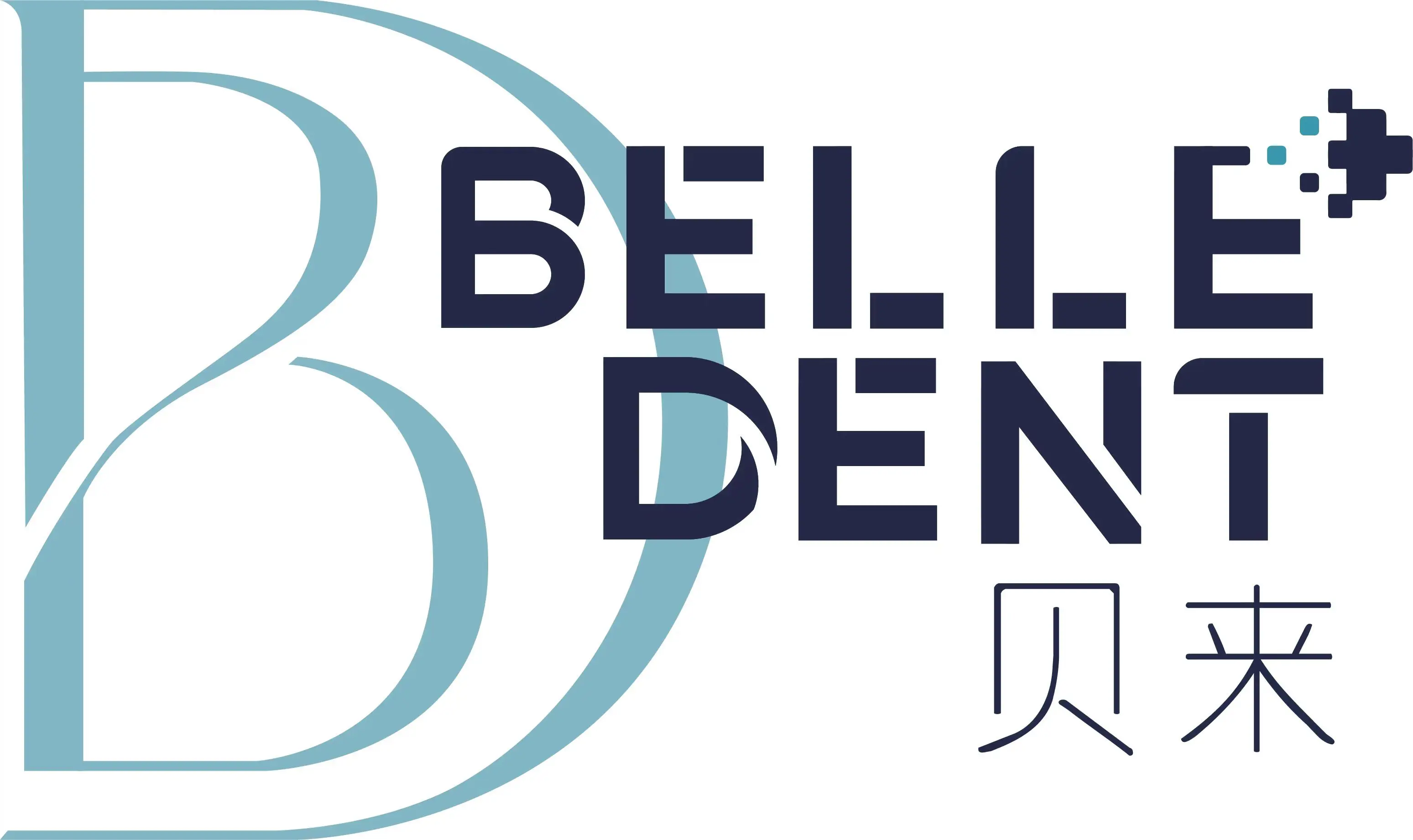 Company Overview - Belle (shanxi) Medical Instrument Co., Ltd.