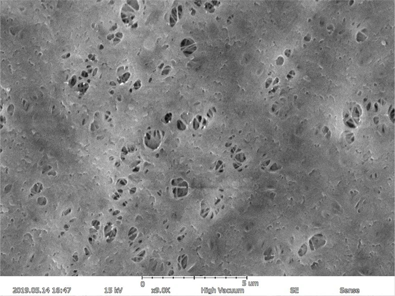 AELAB Benchtop SEM - High Resolution Scanning Electron Microscope