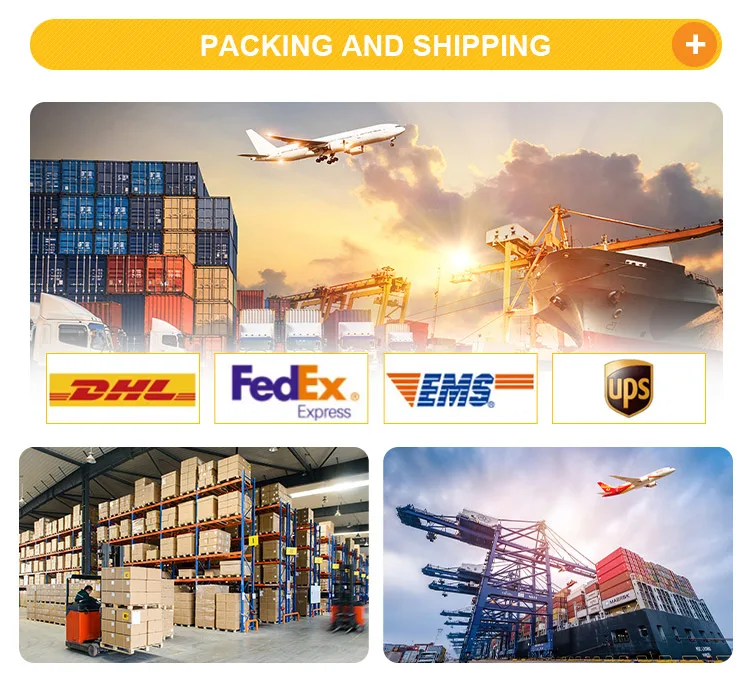 Wholesale 360° Smart Automatic Interactive Dog Smart Ball Toy ...