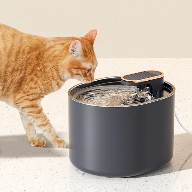 Cat Electric Water Dispenser Fountain Automatic Water Feeder Large ...