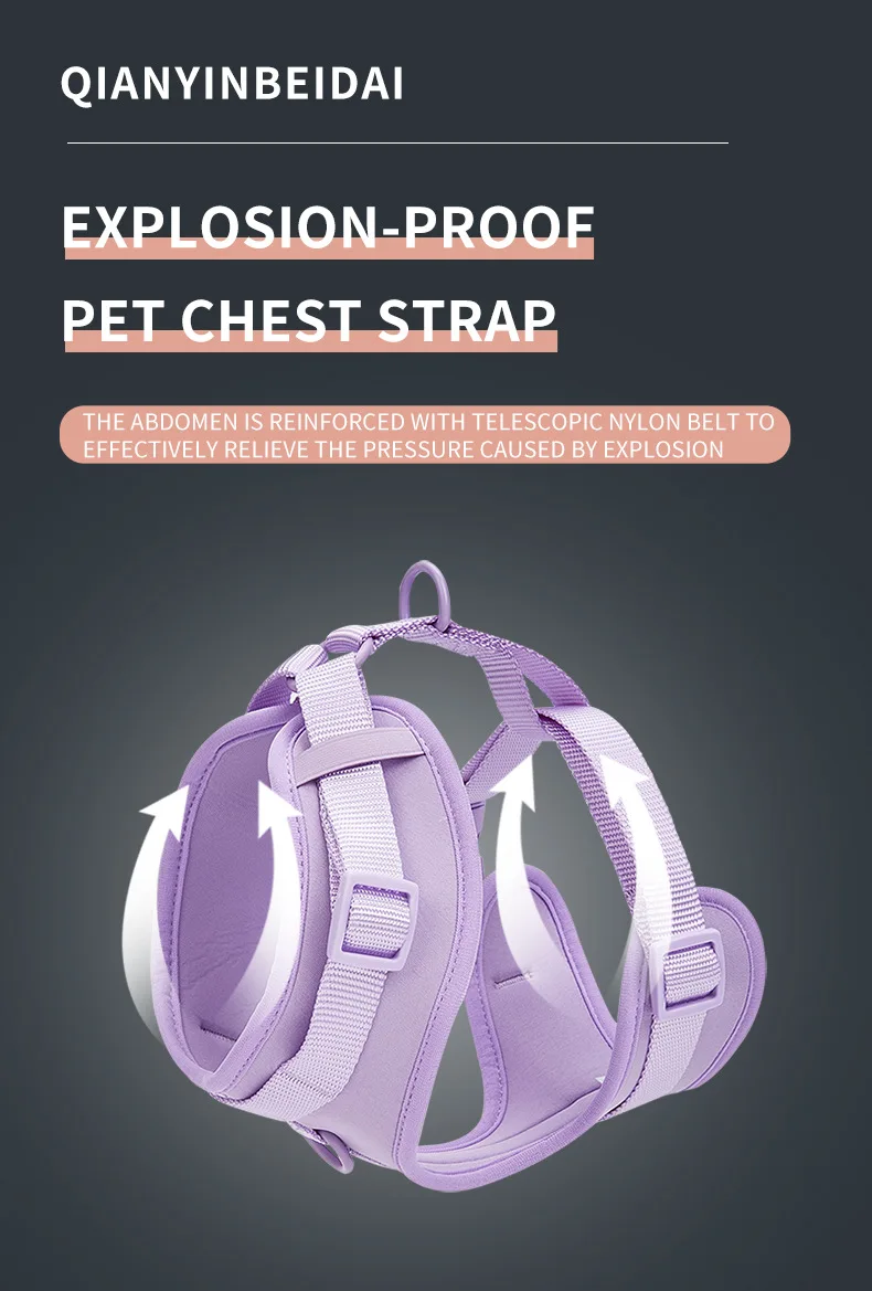 Wholesale Soft Pvc Waterproof Dog Buckle Collar Leash Set Adjustable ...