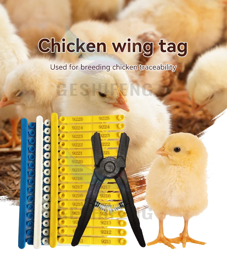 Poultry Identification Tags - Efficient Farm Management