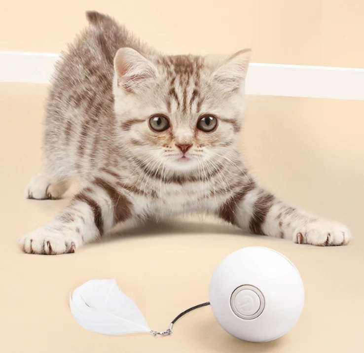 Hot Selling Usb Rechargeable Smart Cat Ball Toy Automatic Spinning ...