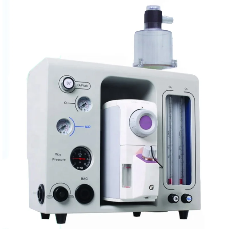 Veterinary Anesthesia Machines - Equine & Bovine Solutions