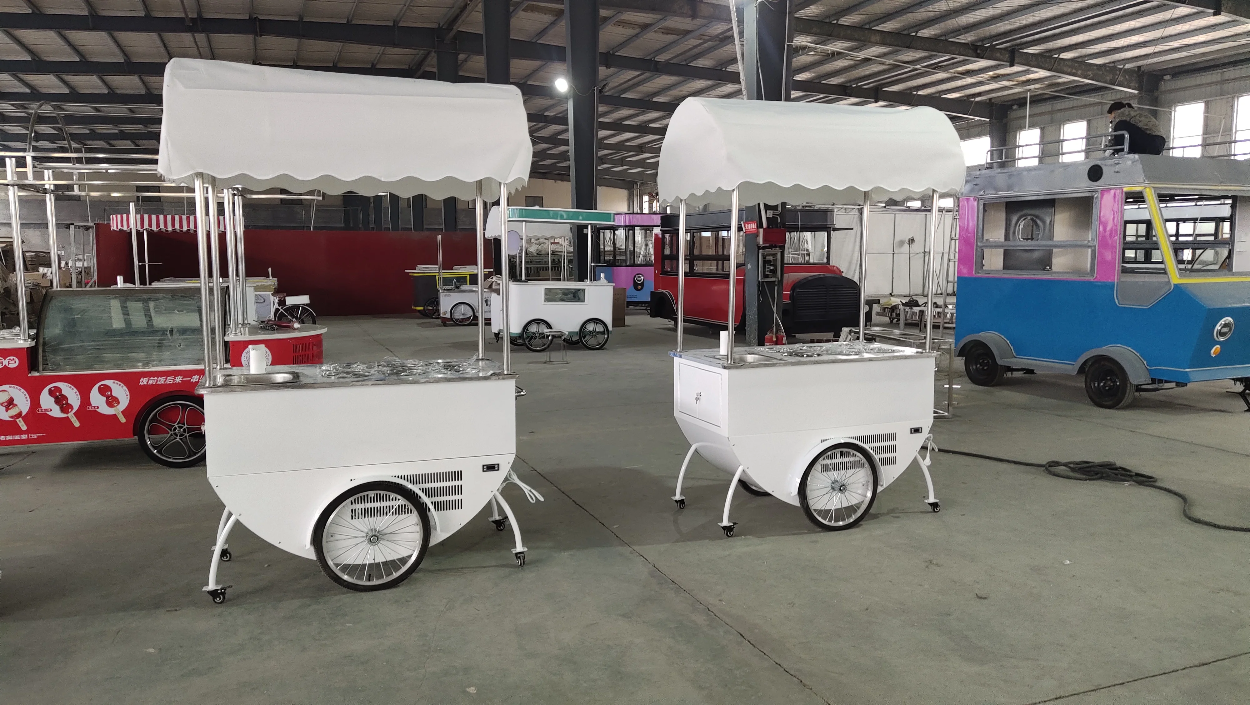 Italian Ice Push Cart /Mobile Food Catering Trailer/Fully Equipped ...