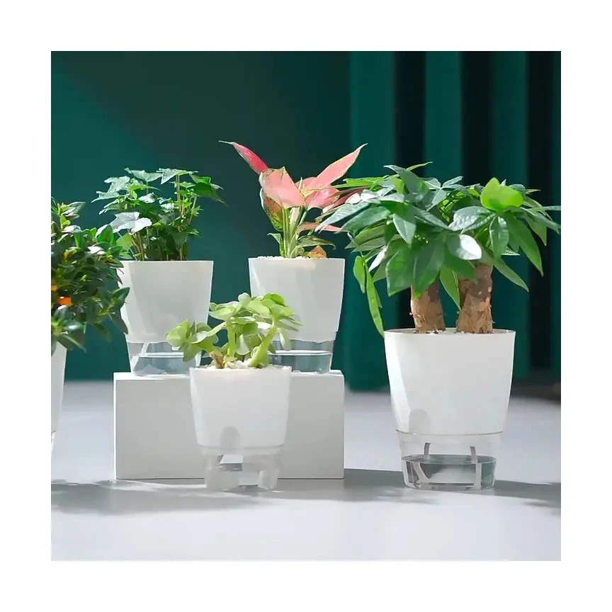 Transparent Visible Water Level Plant Pot Indoor Decoration Flowerpot ...