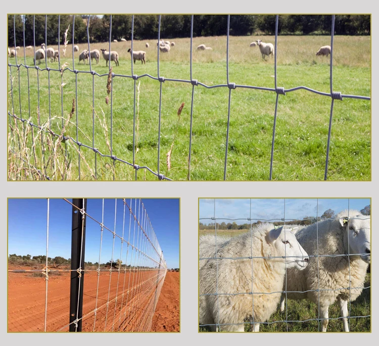 Galvanized 200m Long Animal Field Fence 1.8 Meters Farming Fence with ...