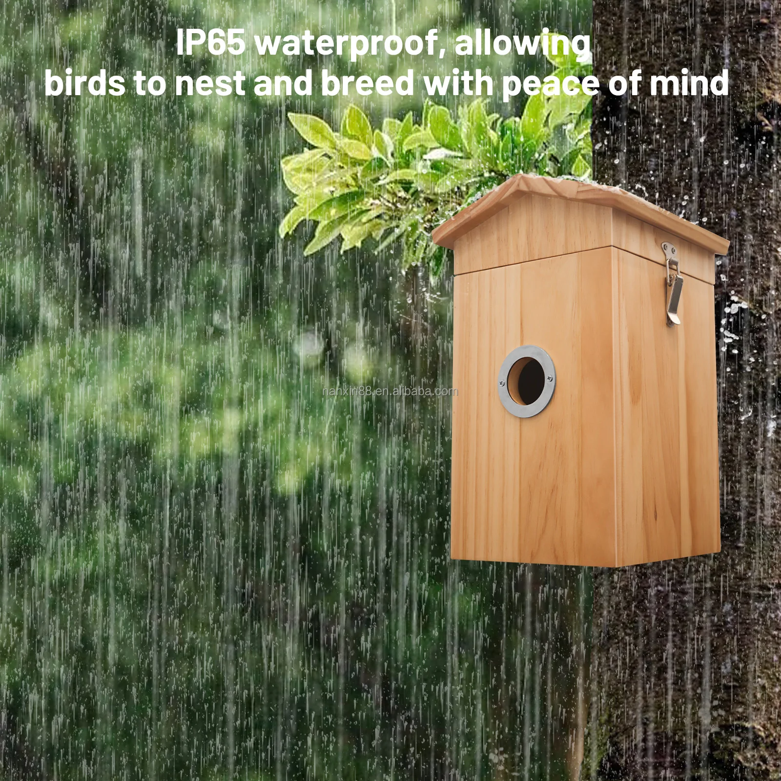 Wood Bird Nest Smart AI Bird Camera with Solar Panel Waterproof Bird ...