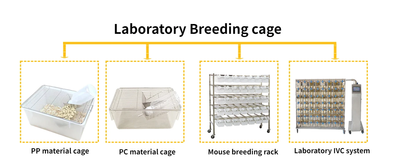 Stainless Steel Metabolism Cages Laboratory Metabolic Cage Mice - Buy ...