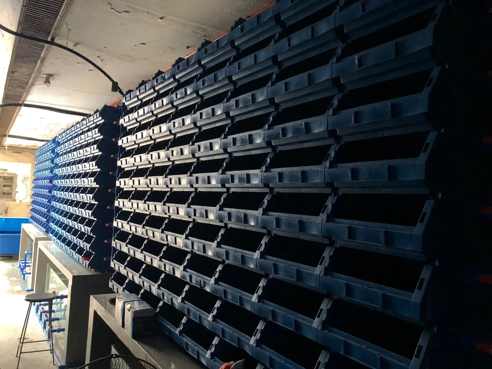 Aquaculture Breeding System - Efficient Crab Farming
