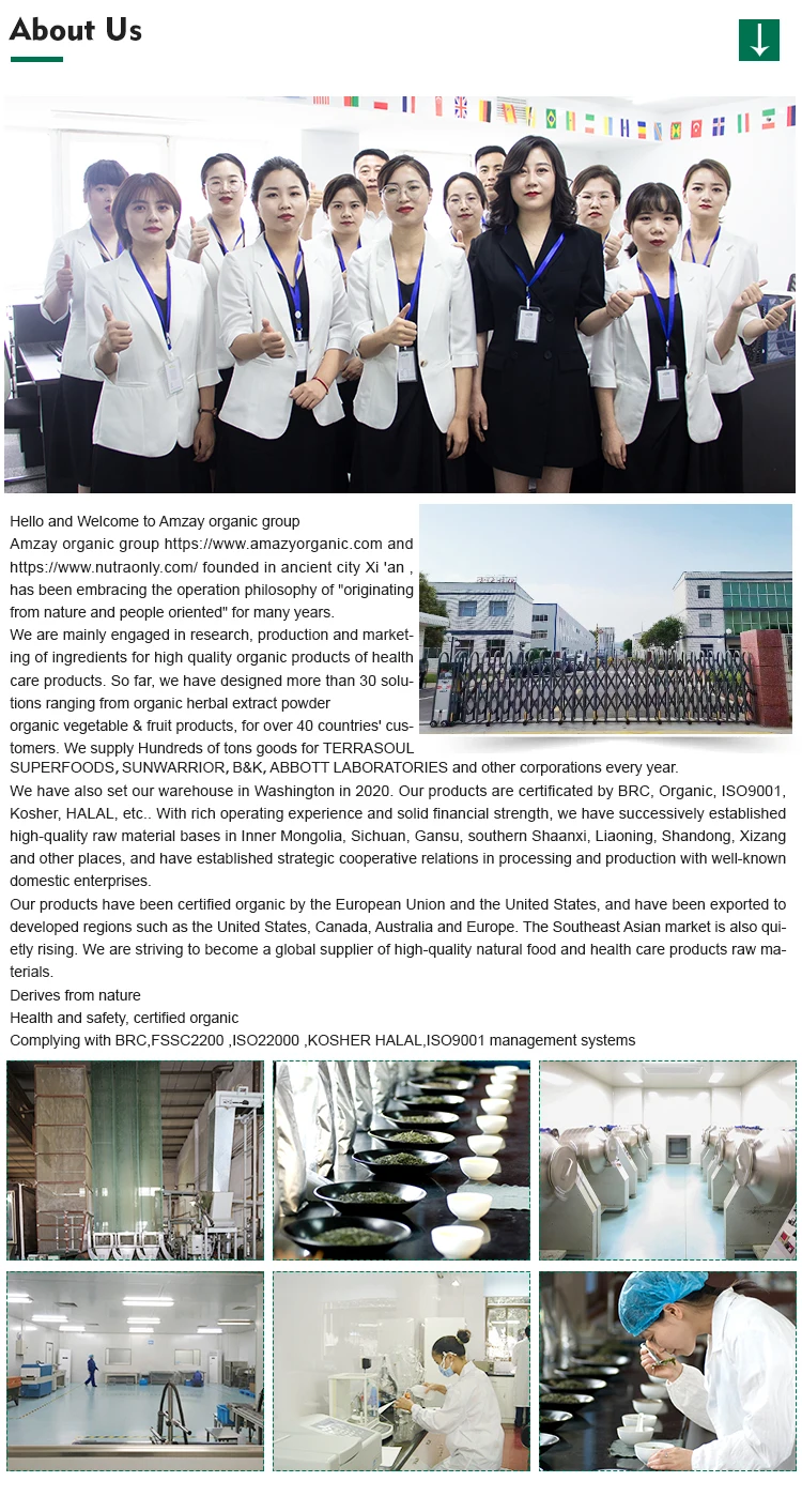 Mung Bean Protein Isolate - Organic & Healthy Plant Powder