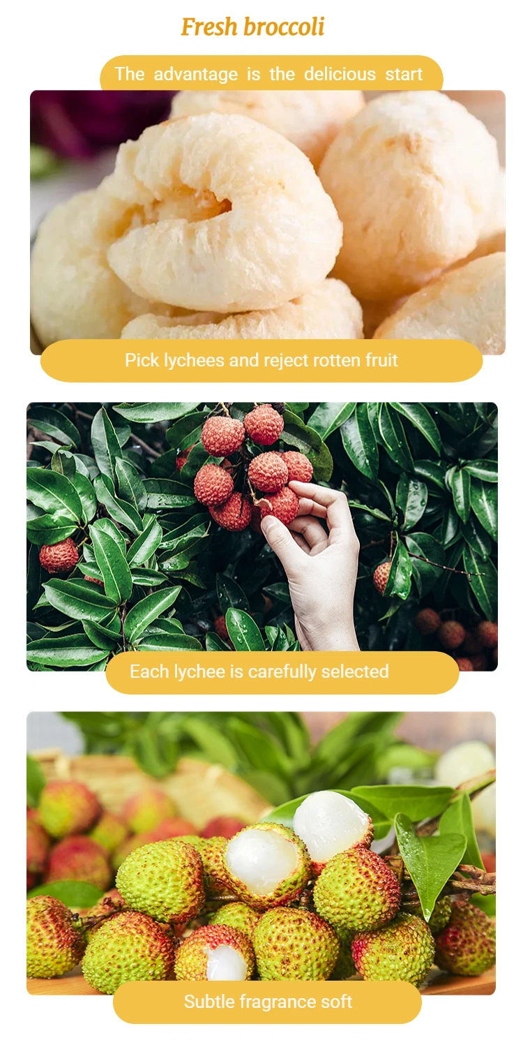 Freeze Dried Litchi FD Litchi Dried Lychee Wholesale Freeze-dried ...