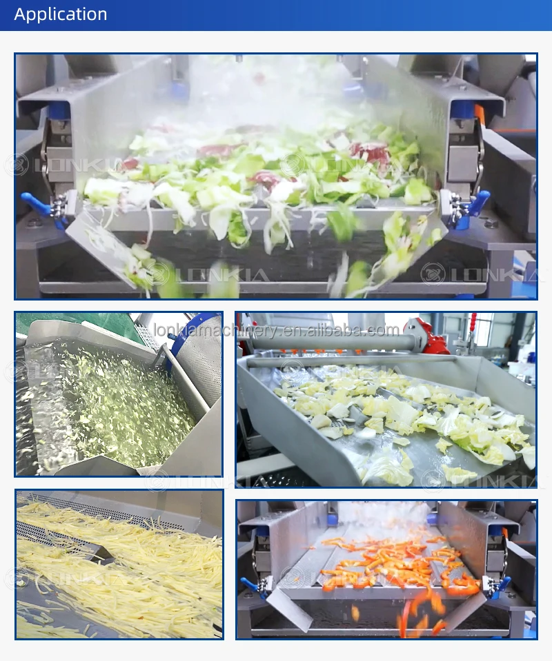 2025 Hot Industrial Cabbage Spinach Lettuce Vegetable Cutting Washing ...