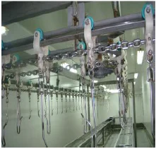 High Quality Rabbit Slaughtering Plant For Sale - Buy Rabbit ...