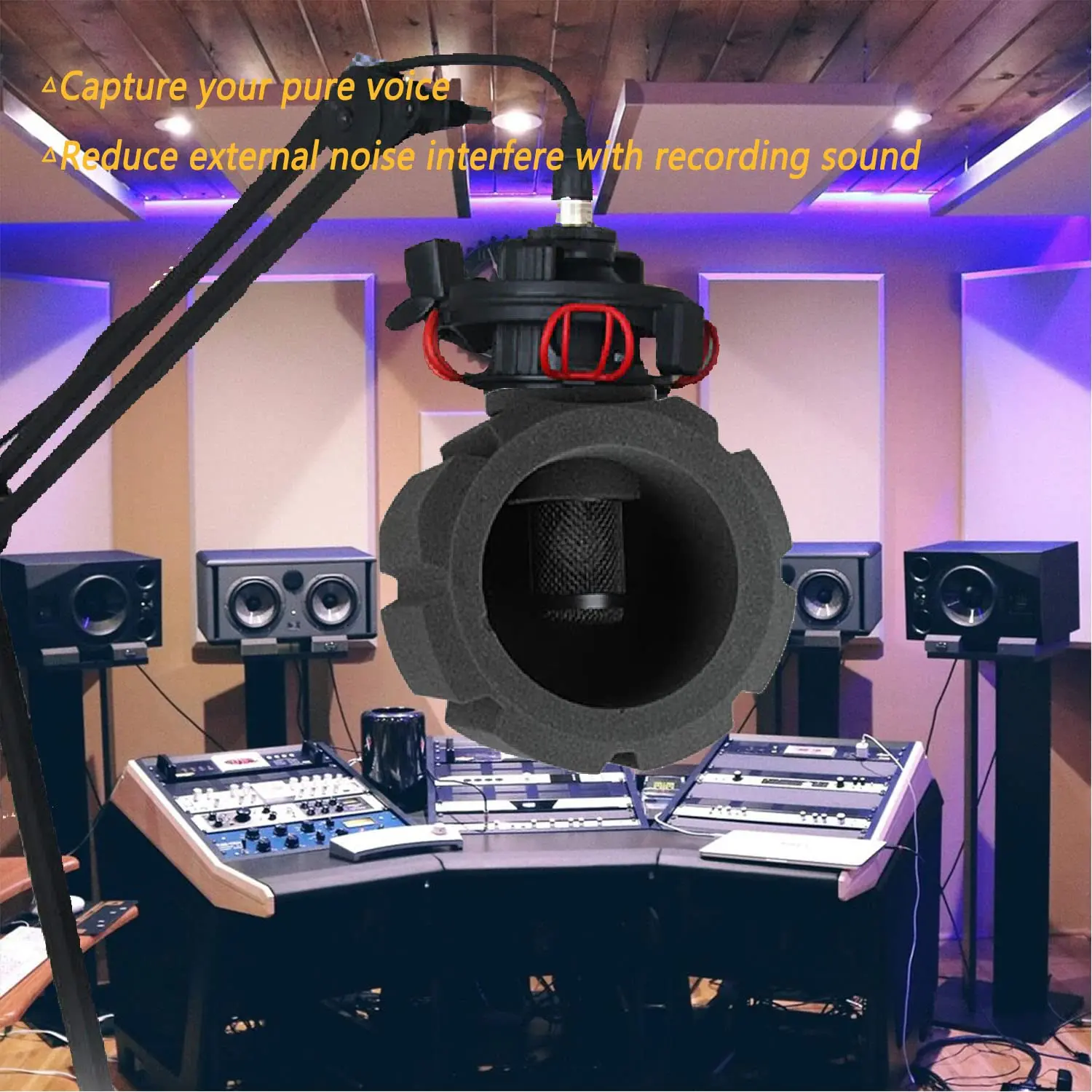 Professional Condenser Microphone Studio Screen Acoustic Filter ...