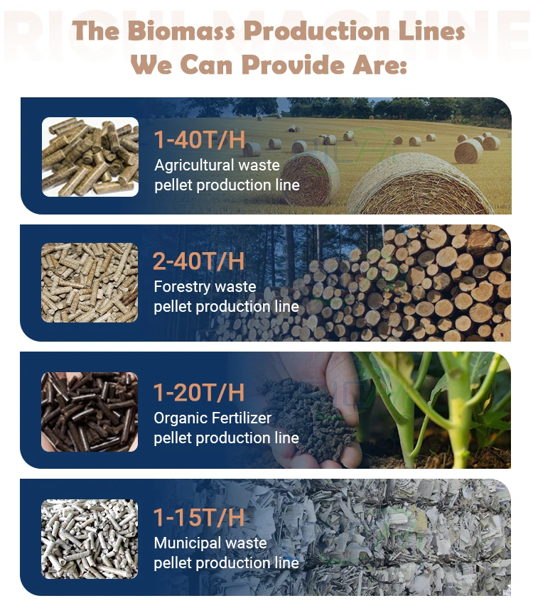 RICHI Professional Design Biomass Processing Plant for Solid Organic ...