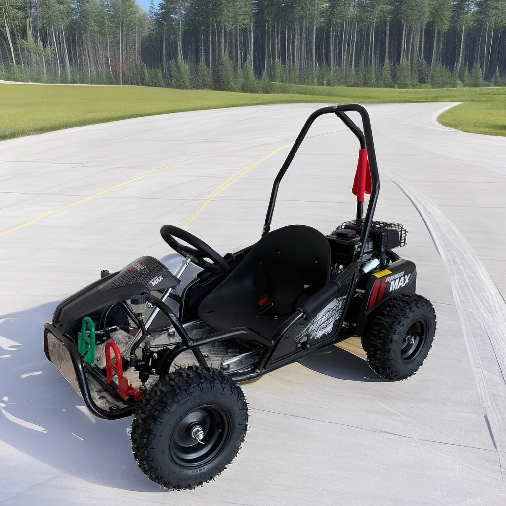 Nice Price 98cc Gas Go Kart Buggy 4 Stroke Two Seat Off Road Automatic ...