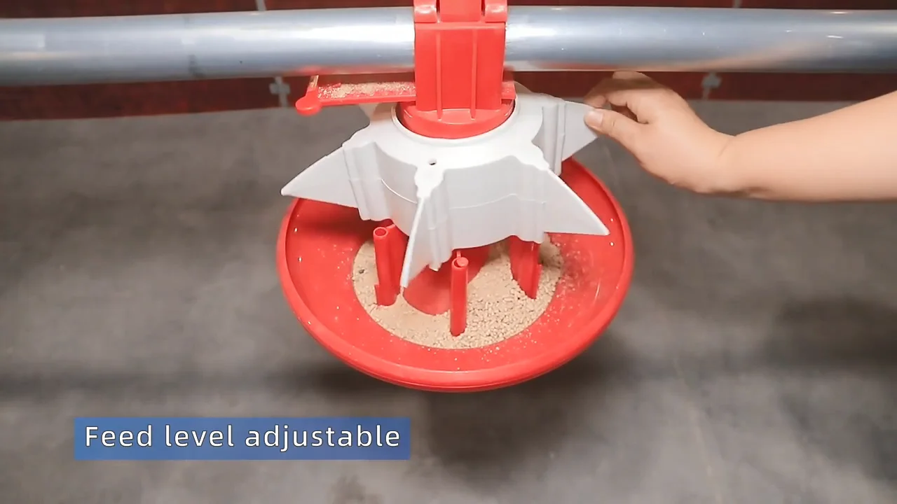 Automatic Chicken Feeder Raising Broiler Chickens Machine Pan Feeding ...