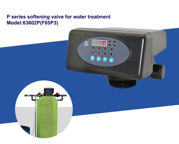 Electrical Flow Control Valve Controller F65 Fleck Water Softener ...