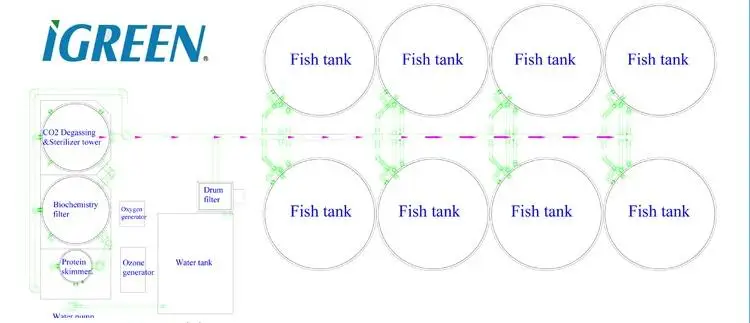 Indoor Ras Shrimp Farming Equipment - IGREEN IGRAS System