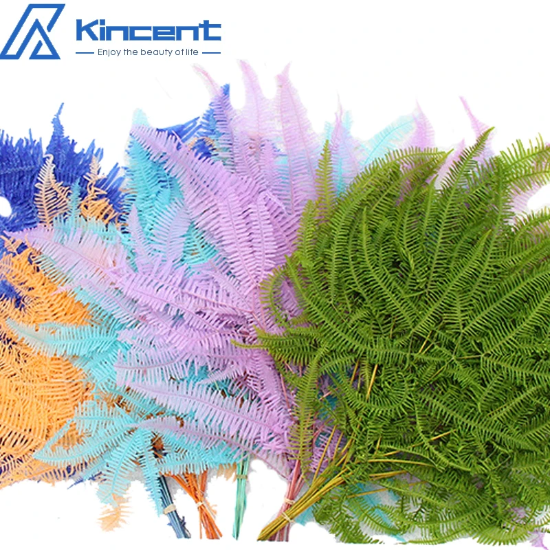 Natural Plants Preserved Dicranopteris Dichotoma Fern Leaves Eternal ...