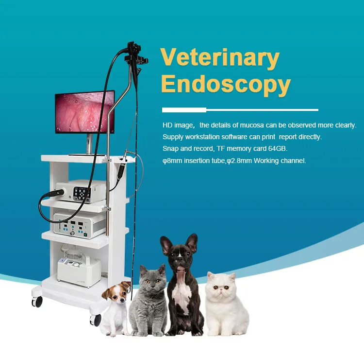 Hot Sale Reusable Gastrointestinal Endoscopy Veterinary Monitor ...