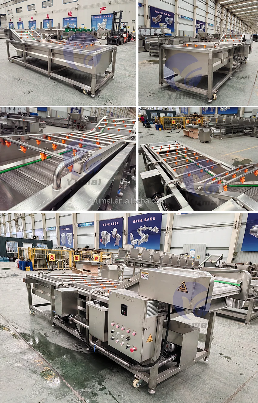 Fresh Fruit Sterilizing Washing Vegetable Broccoli Mushroom Lettuce ...