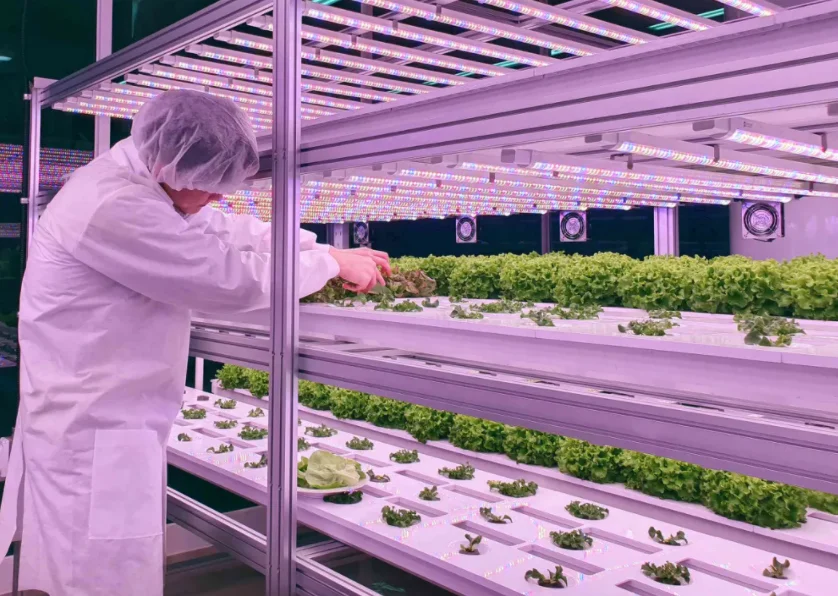 40ft Smart Farm Container Vertical Farming Hydroponic Systems Button ...