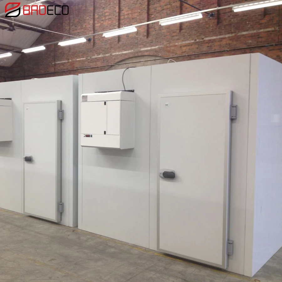 Small Monoblock Cold Storage Room Blast Freezer Cool Room For Meat ...