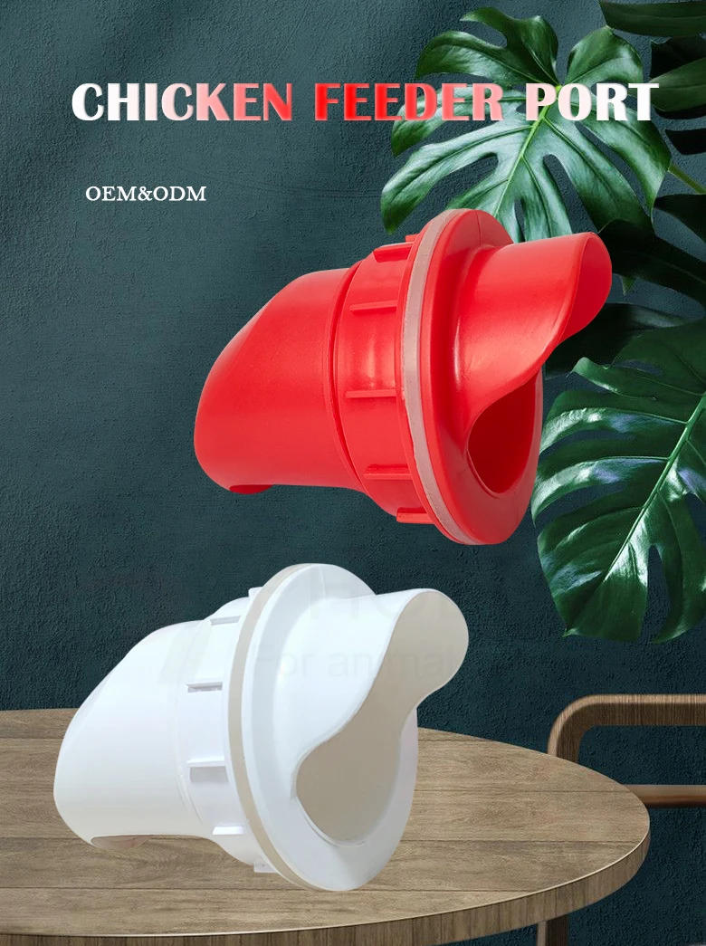 Rain Proof Poultry Feeder - Automatic Feeding Solutions