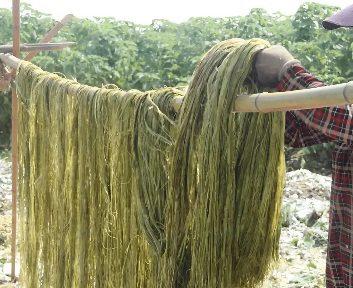 Hemp Fiber Machine - High Capacity Hemp Processing Equipment