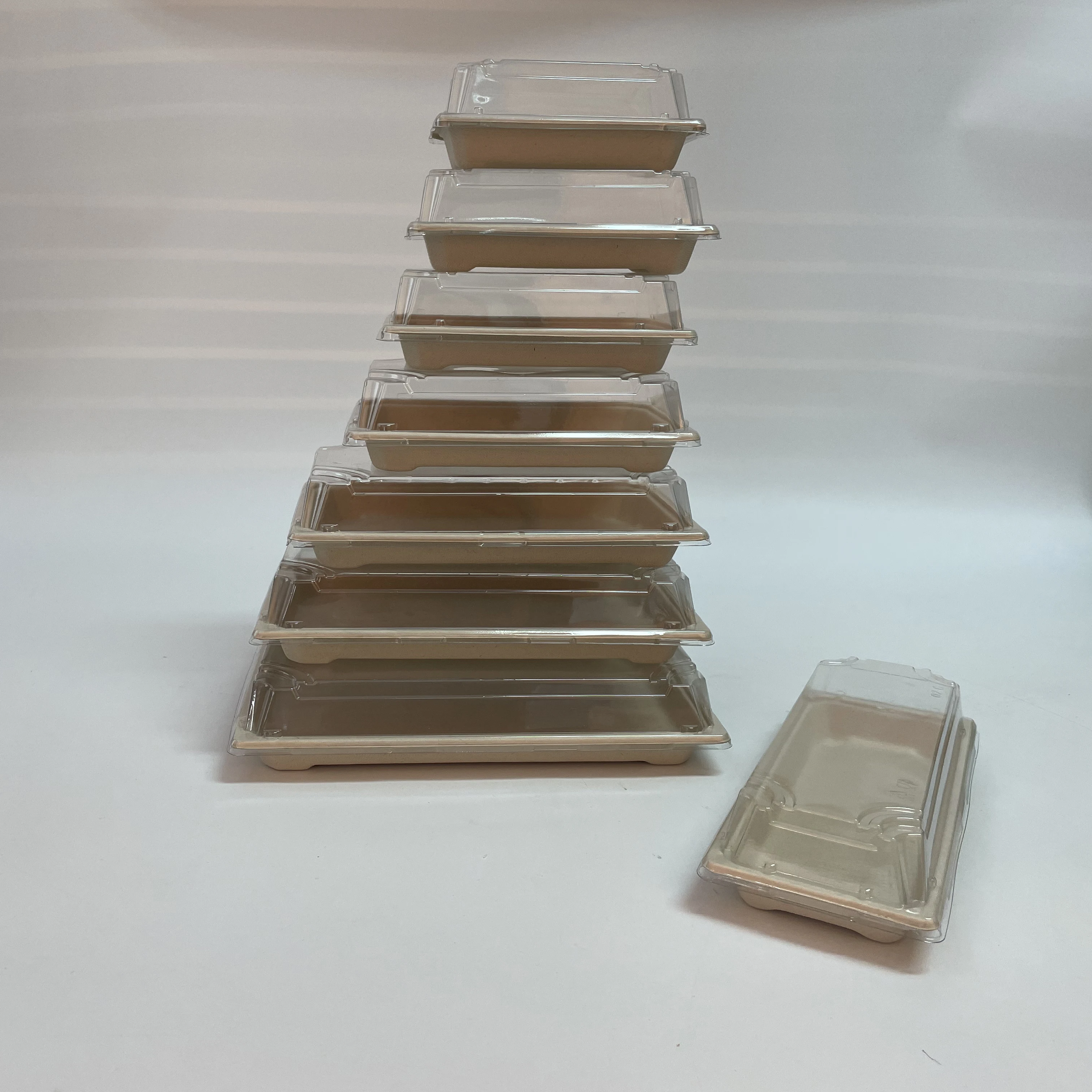 SenAng02 Biodegradable Takeaway Catering Food Container Sushi Lunch ...