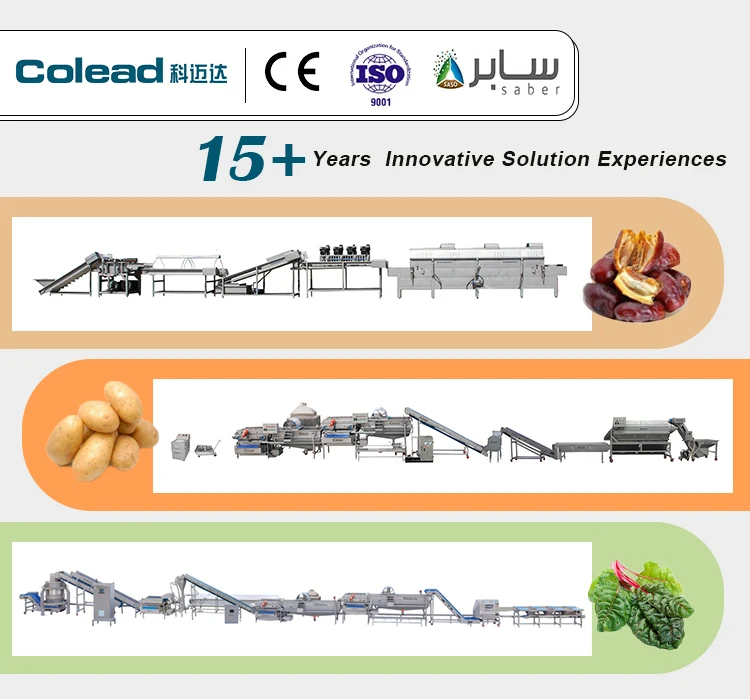 Automatic Dates Grading Sorting Machine Dates Processing Machinery Date ... Automatic Dates Grading Sorting Machine Dates Processing Machinery Date ...