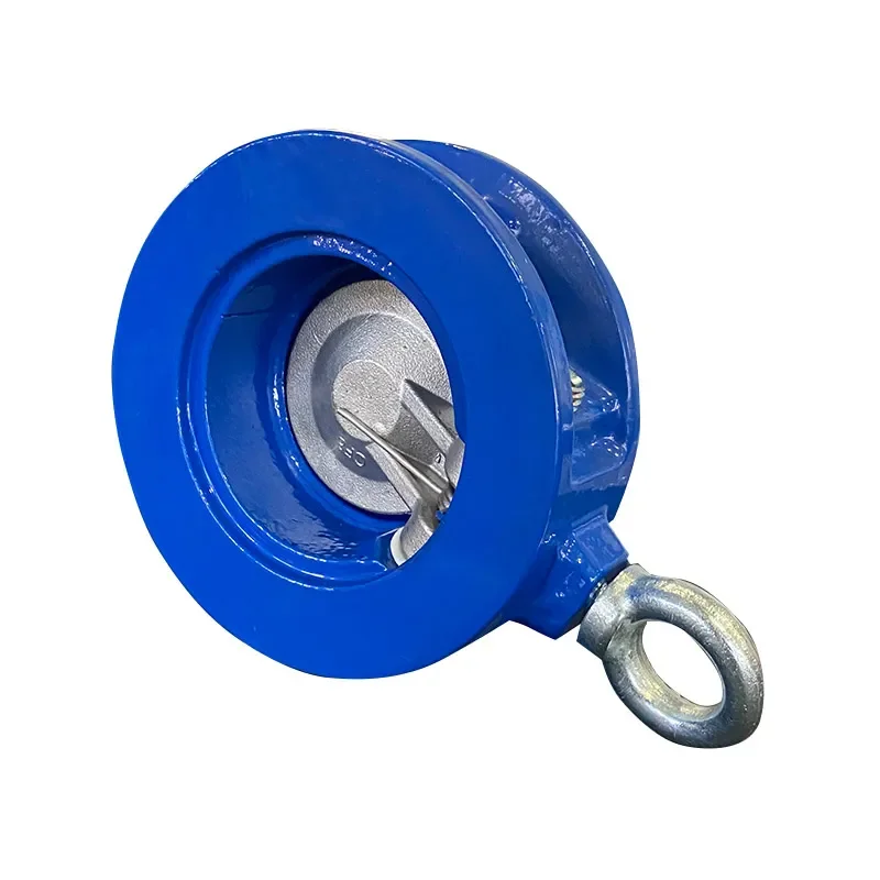 DN100-DN500 Swing Type Wafer Check Valve - Durable & Efficient