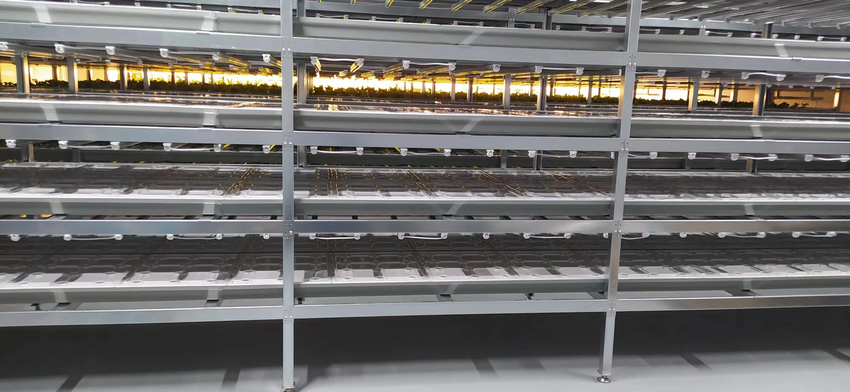 4x8 Flood Table Abs Plastic Hydroponic Overlap Infinity Rolling Tray ...