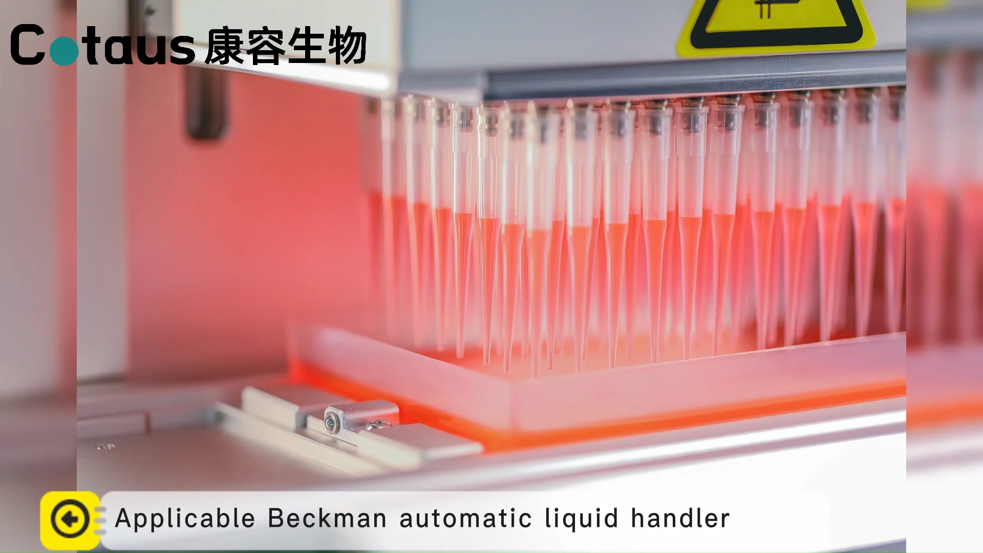 Laboratory Supplies 96 Rack Box Transparent 250 Ul Plastic Custom ...