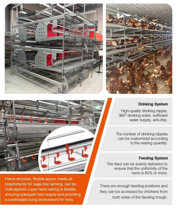 Aviary System for Hen Laying - Free Range & Easy Maintenance