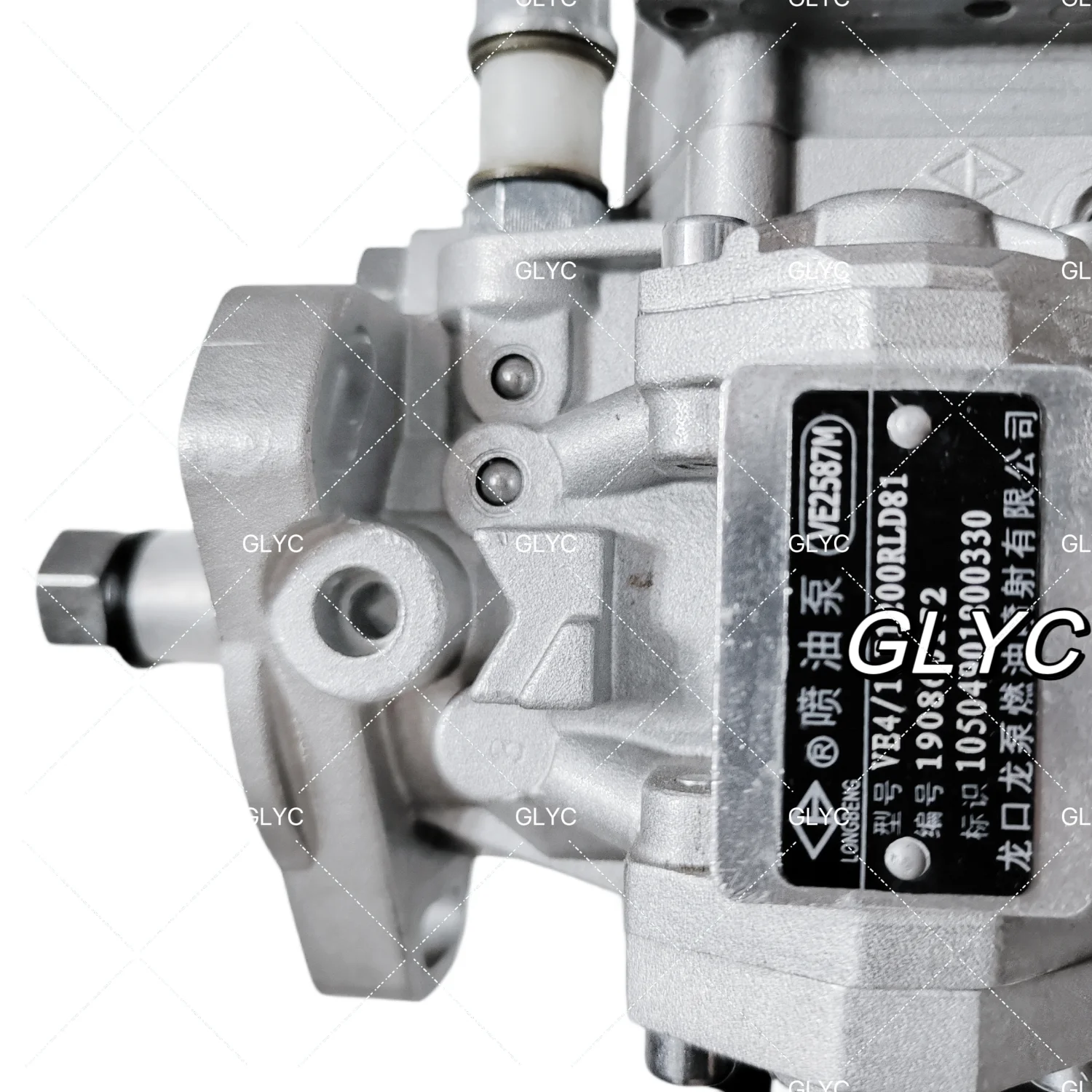 Original Longbeng Ve Fuel Injection Pump Ve2587m 2587 Common Rail ...