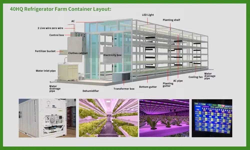 Skyplant New Type Intelligent Control Agriculture Hydroponic Container ...