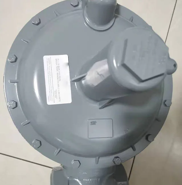 1803DN50 series Spring-Loaded Gas Pressure Reducing Regulators| Alibaba.com