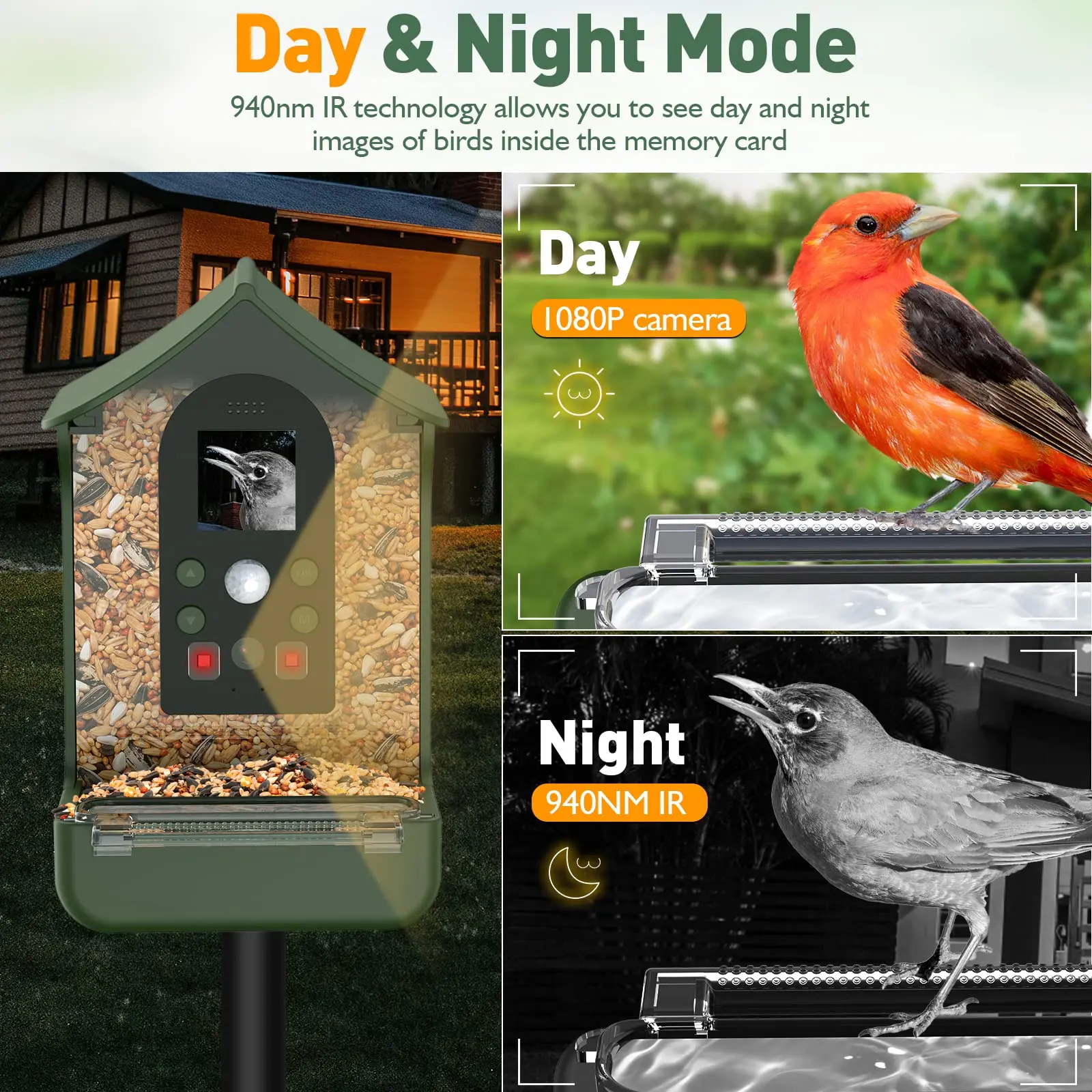 Wholesale Rechargeable Night Vision Smart Bird Feeder Camera