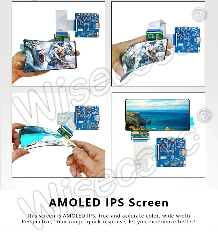 6 Inch Flexible OLED Display - High Resolution & Brightness